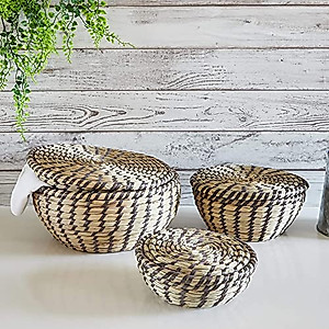 Decorative Seagrass Storage Baskets for Organizing, Round Woven Baskets in 3 Sizes with Lids (3 Piece Set)
