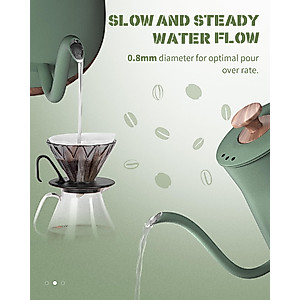 Keebar Gooseneck Electric Kettle, Electric Tea Kettle Stainless Steel, Pour over kettle for Coffee, 1000W Hot Water Kettle Electric Auto Shut Off, 0.8L, Wood-like Grain Finish Handle, Matcha Green