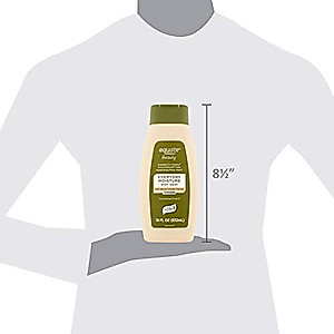 Equate Everyday Moisture Body Wash 18oz.