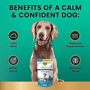 VetriScience Composure Calming Chews for Dogs - Clinically Proven Dog Anxiety Relief Supplement with Colostrum, L-Theanine & Vitamin B1 for Stress, Storms, Separation & More, 120 Count, Chicken Flavor