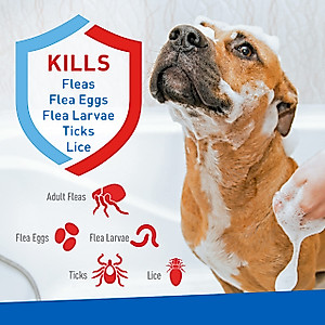 Adams Plus Flea & Tick Foaming Shampoo & Wash for Dogs & Puppies Over 12 Weeks | Sensitive Skin Flea Treatment for Dogs and Puppies | Kills Adult Fleas, Ticks, and Lice On Contact | 10 Oz