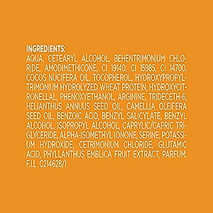 L’Oréal Paris Elvive Extraordinary Oil Nourishing Conditioner, for Dry or Dull Hair, Conditioner with Camellia Flower Oils, for Intense Hydration, Shine, and Silkiness, 28 Fl; Oz