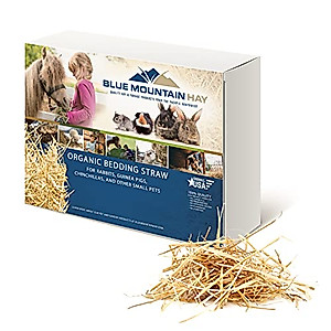 Blue Mountain Hay Organic Bedding Straw (3lb) Natural Animal Bedding Straw for Guinea Pigs, Chinchillas, Rabbits, Hamsters, Chickens, Feral Cats & Chicken Coops | Pet Bedding Straw | Pet Shelters