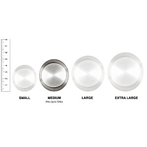 Best Friend Services Pet Urn for Dogs and Cats with Personalized Laser Engraving, Ottillie Paws Premier Series Memorial Urns (Medium Amethyst Purple with Horizontal Pewter Paws)