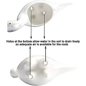 Hica Ceramic Plant Pot Dinosaur Shaped with Tray White Creative Flower Pot for Succulents Plants Multipurpose Vase Home Garden Decor (White)