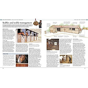 The Horse Encyclopedia (DK Pet Encyclopedias)