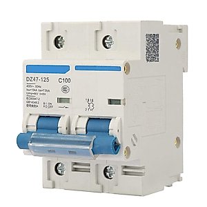 400V 80/100/125A Electric Circuit Breaker 2 Pole Circuit Breaker MCB Leakage Switch DZ47-125 Current Miniature Circuit Breaker (100A)