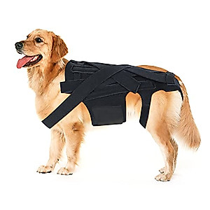 LAMPTOP Dog Back Brace for Dogs Arthritis, Pet Back Bracer for IVDD, Back Protector Helps Pain Relief, Surgical Recovery and Rehabilitation, Dogs Back Disease Prevention.