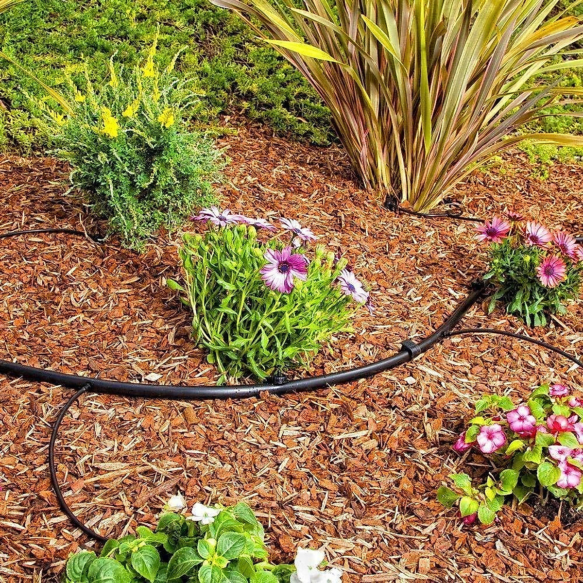 500'ft Drip Irrigation Line 1/4" Tubing Roll, 6" Emitter Spacing .52 GPH Black (.170 ID x 240 OD) (500' Foot Roll)