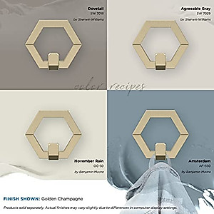 Amerock HBX37015BBZ | Prismo Single Prong Decorative Wall Hook | Golden Champagne Hook for Coats, Hats, Backpacks, Bags | Hooks for Bathroom, Bedroom, Closet, Entryway, Laundry Room, Office