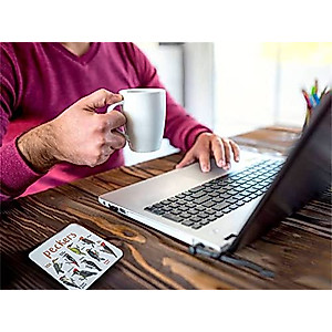 Set of 6 Bird Pun Coasters, 2023 New Square Drinks Coaster, Thicken Funny Bird Coasters Suitable for Home Kitchen Bar Table Decorations, Gifts for Bird Lovers