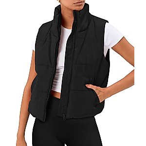 AUTOMET Fall Outfits Clothes Puffer Vest Women Sleeveless Winter Cropped Outerwear Warm Puffer Lightweight Stand-up Collar Down with Pockets 2024