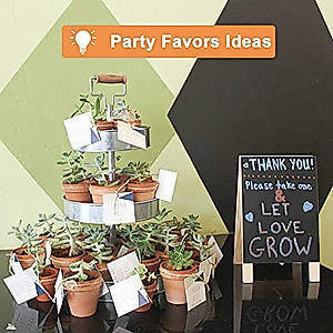 Riseuvo 32pcs Small Mini Clay Pots - 2'' Terracotta Pot Clay Ceramic Pottery Planter, Cactus Flower Terra Cotta Pots, Succulent Nursery Pots, with Drainage Hole, for Indoor/Outdoor Plants, Crafts