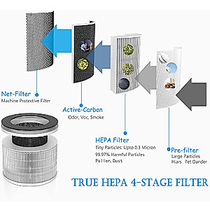 Tredy H13 Grade HEPA Air Purifier Replacement Filter for Smoke, Smokers, Dust, Odors, Pet Dander, TD-1500, 2 Pack