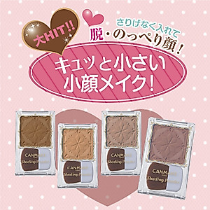 CANMAKE Shading Powder, Contouring 0.17 oz (2.4 g) (05 Moon Greige, 2.4 g)