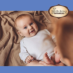 Birth Song Botanicals Diaper Salve Ointment, 1.5 Ounces