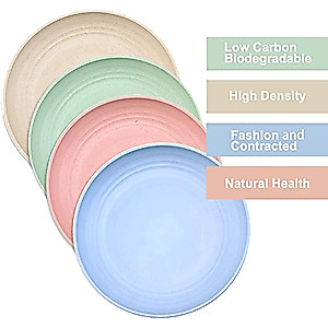 DeeCoo 10 Inch Wheat Straw Deep Dinner Plates - Microwave and Dishwasher Safe, Unbreakable Sturdy Plastic Dinner Plates - Set of 6 - Healthy Cereal Dishes/Kids-toddler & Adult