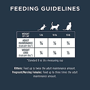 Instinct Raw Boost Grain Free Recipe with Real Salmon Natural Dry Cat Food by Nature's Variety, 4.5 lb. Bag