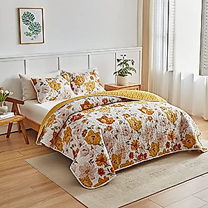 UOZZI BEDDING Quilt Set Queen Full Size 88x88 3 PC Reversible Soft Microfiber Lightweight Coverlet Bedspread Summer Comforter Set Bed Cover for All Season (1 Quilt+ 2 Shams)