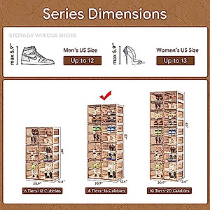 BINSIO Shoe Organizer, Shoe Rack for Closet, Shoe Cabinet for Entryway, Plastic Shoe Storage, Foldable Shoe Box, Fast Assembly Shoe Shelf, One Piece Sturdy Sneaker Holder, Clear Brown Doors - 8 Tiers