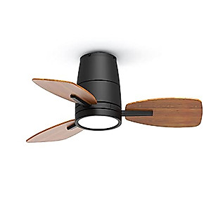 TALOYA Small Ceiling Fan with Lights and Remote Control 30 inch Multifunctional Quiet Fan with Three Color Temperature Light and Reversible Blades