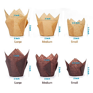 GOLDEN APPLE, 200 Pcs Tulip Cupcake Liner Baking Cup Muffin Tins Cups for Weddings, Birthdays, Baby Showers (Medium, Natural)