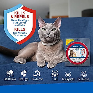 Adams Plus Flea & Tick Collar for Cats | Breakaway Collar | 2 Pack | 7 Months Protection | Kills & Repels Fleas, Flea Eggs, Flea Larvae and Kills Ticks, Nymphs, and Tick Larvae