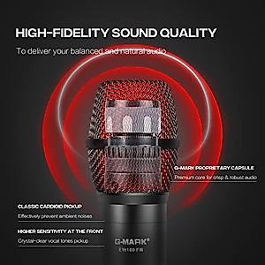 G-MARK Wireless Microphone, Dual Professional UHF Cordless Dynamic Mic Handheld Microphone System for Home Karaoke, Meeting, Party, Church, DJ, Wedding, Home KTV Set, 200ft(EW100)