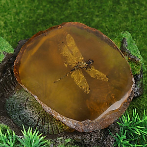 Amber,Artificial Amber Specimen Pendant Butterfly Scorpions Insects Amber Stone Ornament for Collection(Dragonfly)