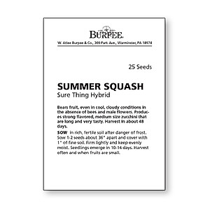Burpee Sure Thing Zucchini Summer Squash Seeds 25 seeds