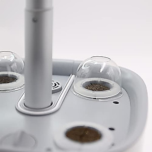 FAFAGRASS Grow Baskets Seed Pods and Domes Fit Hydroponics Growing System, Plant Growing Containers for Hydroponic Garden，30 Pack