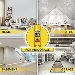 HARRIS 10-Month Roach and Ant Killer, 16oz Aerosol Spray