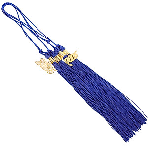 24 Pcs Graduation Cap Tassels Graduation Pendants 2025 Year Charms Graduation Hat Tassel Decor Hat Academic Graduation Cap Tassels Alloy Blue