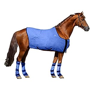 HyperKewl Evaporative Cooling Horse Blanket, Large, Blue