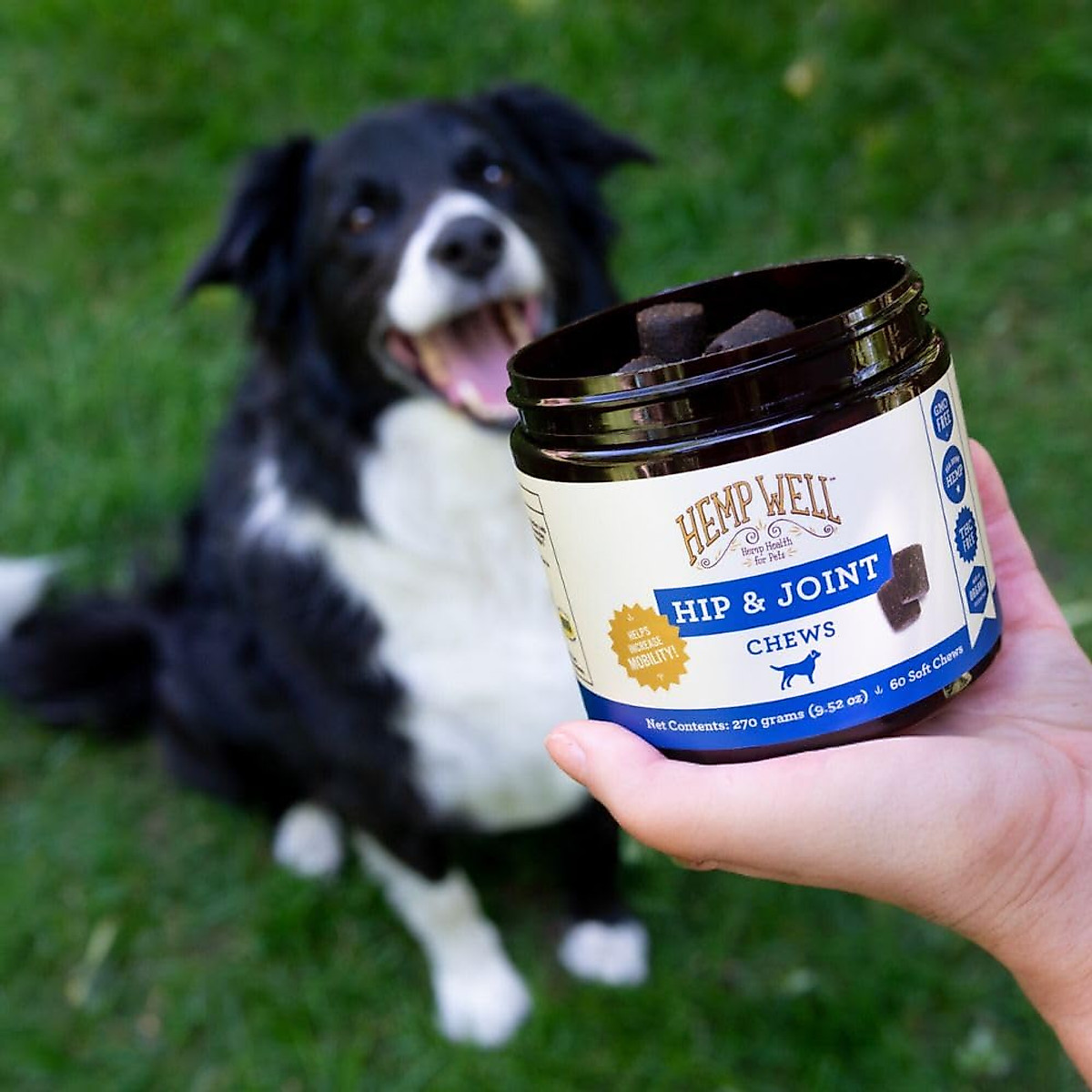 Hemp Well Hip and Joint Soft Chews – Supports Mobility and Promotes Healthy HIPS and Joints for Dogs, Organically Sourced (60 Count)