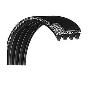 H.F Exchange Main Pulley Drive Belt Micro V Belt Poly V Transmission Belt - High Strength Rubber Good Tension Replacement for Upright Recumbent Bike Cycle Work with Cybex Tectrix 700r 500c