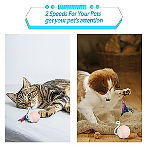 GOGODOGYA Cat toys,Interactive cat toy ball,Indoor Automatic Moving Cat Ball Toys/Puppies Toys,With LED Rainbow Lights,Feathers & USB Charging Cable,Touch control and Sound control Smart Start Cat Toy