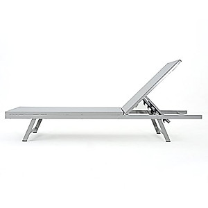 GDFStudio Allen Outdoor Gry Mesh Chaise Lounge with Aluminum Frame (Set of 2)