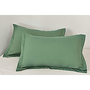 Colourful Snail Duvet Cover 2 Piece Set, Ultra Soft Double Brushed Microfiber Comforter Cover with Zipper Closure and Corner Ties, Twin, Green