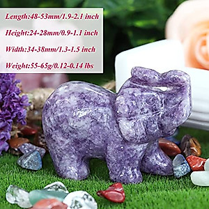 2" Amethyst Elephant Decor Natural Healing Crystal Stones Polished Hand-Carved Gemstone Big Cute Hippie Sculpture Statue Figurines Energy Purple Home Room Office Desk Decoration Gifts for Women Men