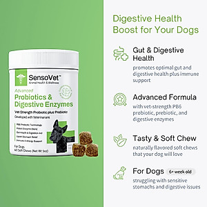 Probiotics for Dogs with Prebiotics and Digestive Enzymes - Allergy Relief