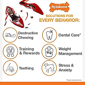 Nylabone Pretzel Dog Toy - Power Chew Dog Toy for Aggressive Chewers - Bacon & Peanut Butter Small/Regular (1 Count)