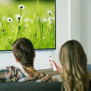 BN59-01309B Replaced Voice Remote fit for Samsung Frame TV 4K Smart TV LS03 Series BN59-01290A BN59-01278A UA43LS03N UA49LS03N UA55LS03N UA65LS03N UA43LS03NAWXXY UA55LS03NAK UA65LS03NAK UA49LS03NAK