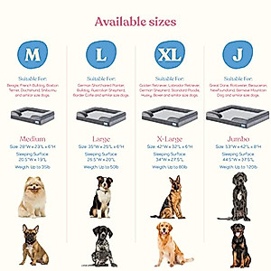 Orthopedic Sofa Dog Bed - Ultra Comfortable Dog Beds for Medium Dogs - Breathable & Waterproof Pet Bed- Egg Foam Sofa Bed with Extra Head and Neck Support - Removable Washable Cover & Nonslip Bottom