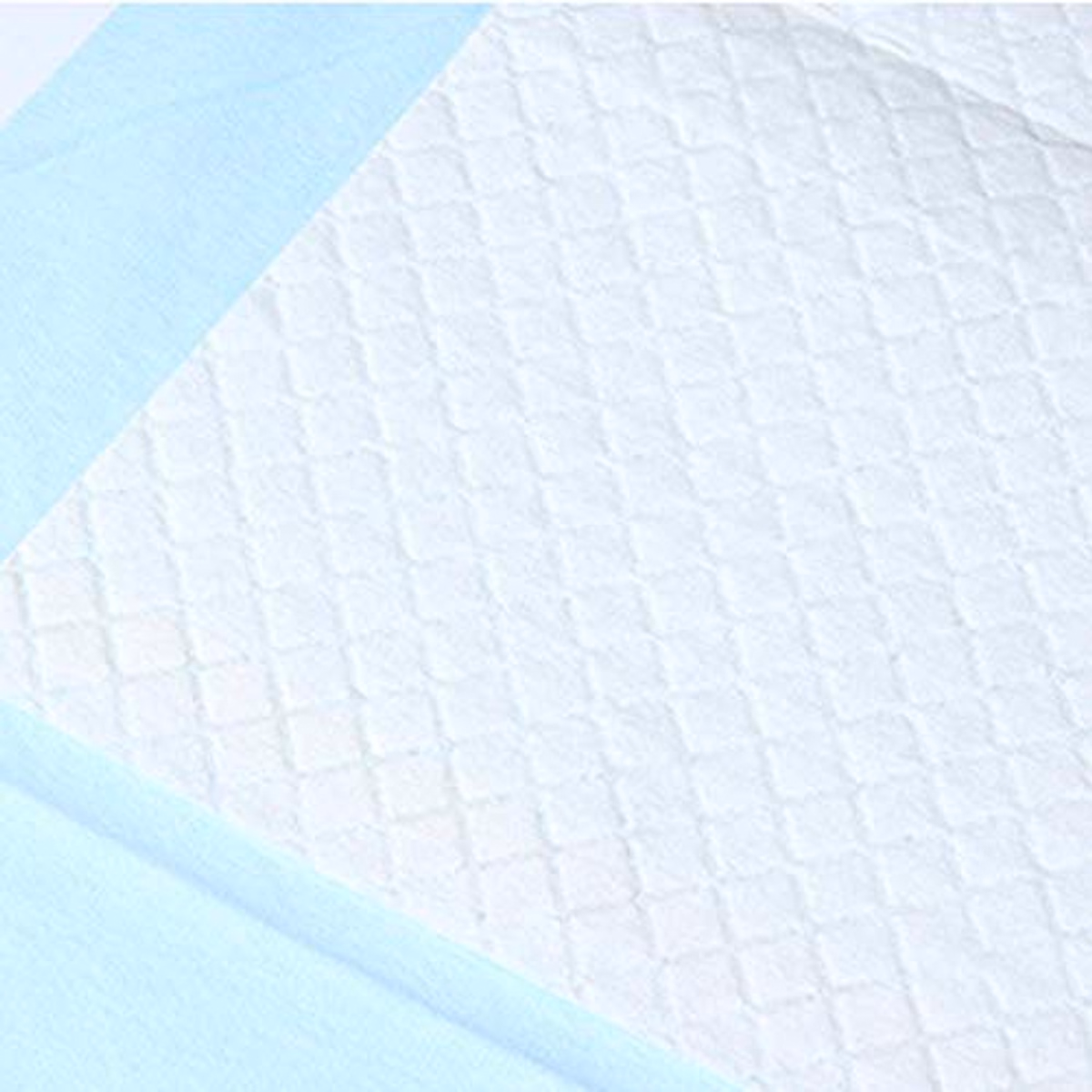 COCOYO Best Value Dog Training Pads, 22" by 22", 200 Count, BLUE