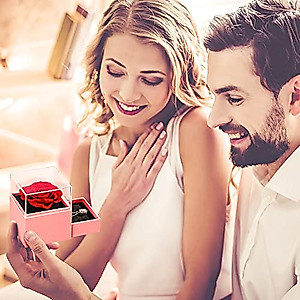 Preserved Red Real Rose with I Love You Necklace in 100 Languages, Eternal Enchanted Rose Flower Gifts for Women Mom Wife Girlfriend Valentines Day Anniversary Mothers Day Birthday Gifts for Her