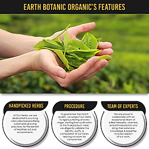 Earth BOTANIC Organic English Breakfast Black Tea Bags Chinese Keemun & Indian Assam Blend - Eco-Conscious Tea Bags in Kraft Bag - 100 Tea Bags