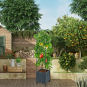 GREEN MOUNT Raised Garden Bed Planter Boxes with Trellis for Climbing Vegetables Plants, 56.7" Tomatoes Planters Outdoor Tomato Cage w/Wheels