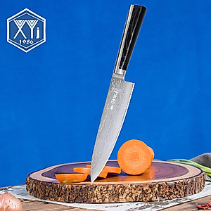 XYJ Japanese Damascus Chef Knife With G10 Handle,Vegetable Cooking Knives,Damascus Steel Kitchen Knife,Meat Cleaver Butcher Knives,Culinary Slicer (8 Inch)