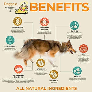 DOGGESS Dressing Best Hip and Joint Supplement for Dogs, Glucosamine & Chondroitin/Joint Health/Salmon Oil for Dogs Skin and Coat Health, Delicious Beef Gravy Flavor - 16 Oz Pack of 1